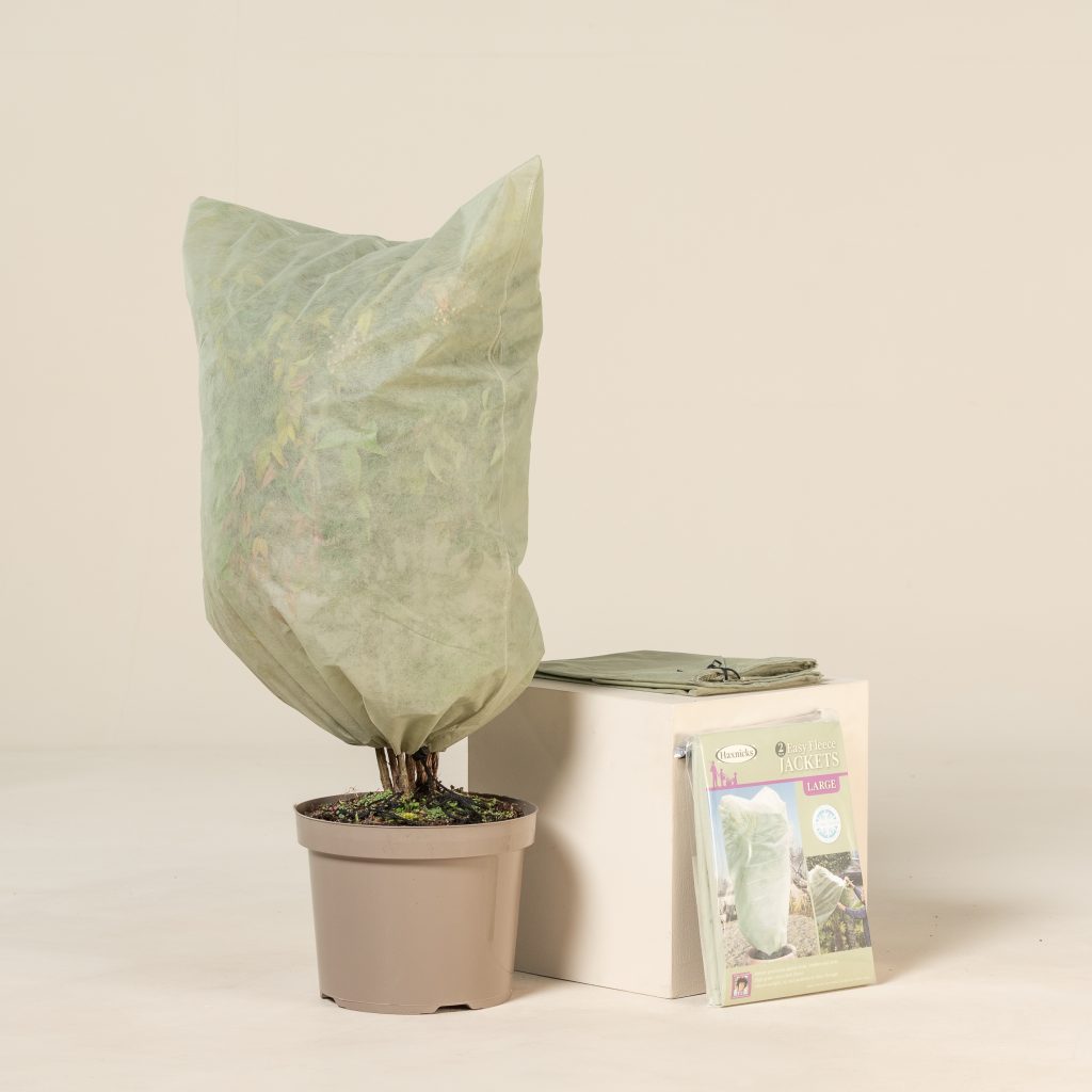 Frost protection fleece jackets for trees and shrubs | The Palm Centre