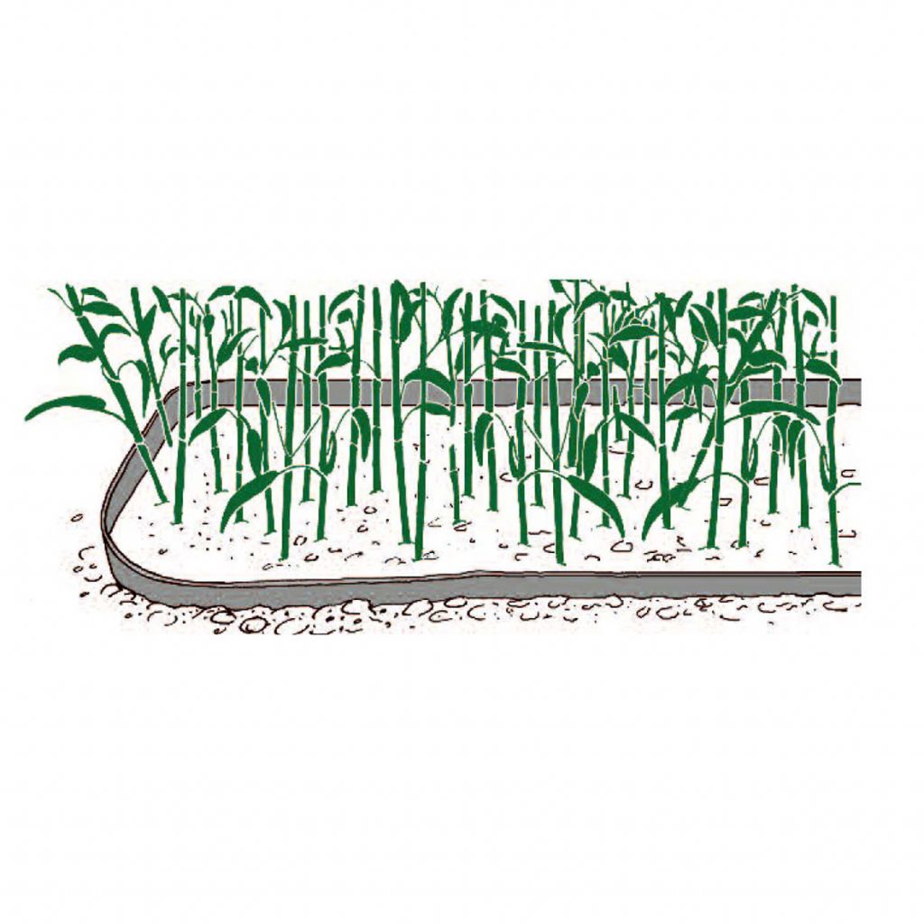 Bamboo root barrier - control system for bamboo | The Palm Centre