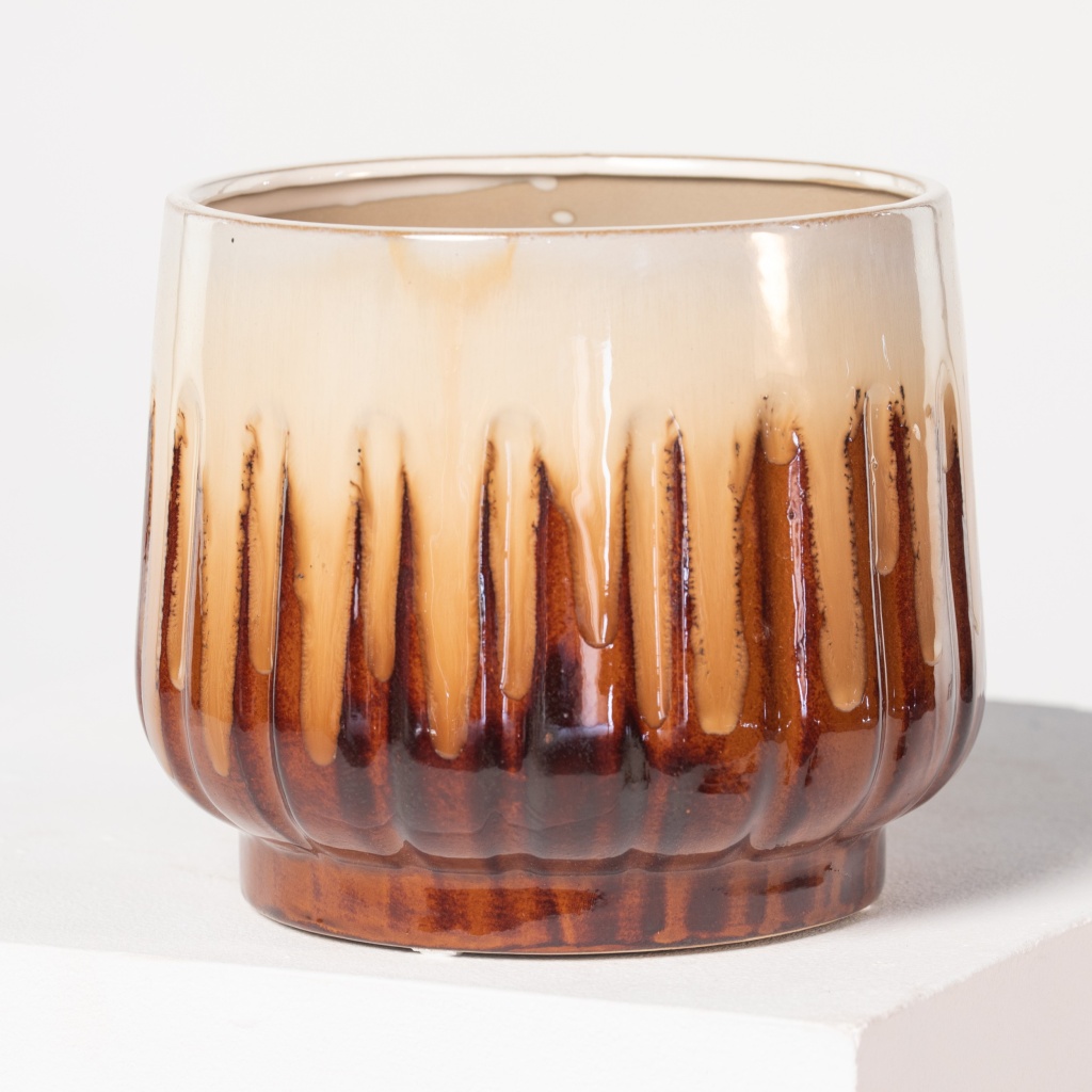 Indoor pots for sale | The Palm Centre