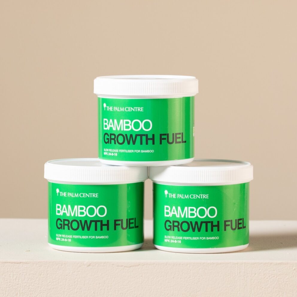 Bamboo Growth Fuel - slow release fertiliser for bamboo | The Palm Centre