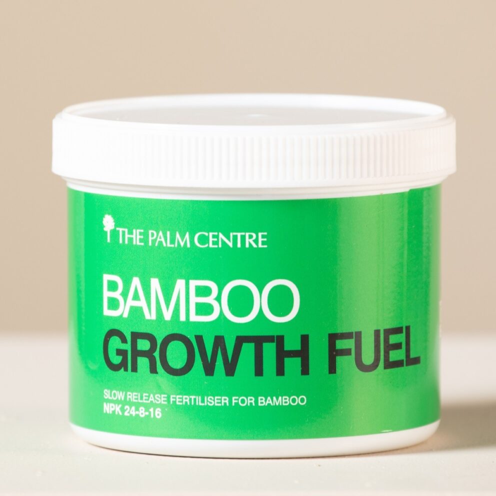 Bamboo Growth Fuel - slow release fertiliser for bamboo | The Palm Centre