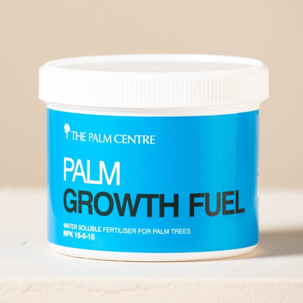 Palm Growth Fuel - Palm trees fertiliser | The Palm Centre