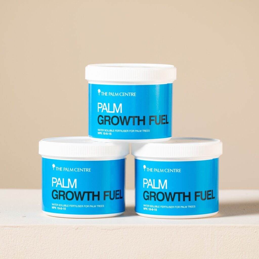 Palm Growth Fuel - Palm trees fertiliser | The Palm Centre