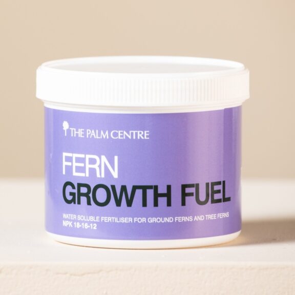 Fern Growth Fuel - Fern and tree ferns fertiliser | The Palm Centre
