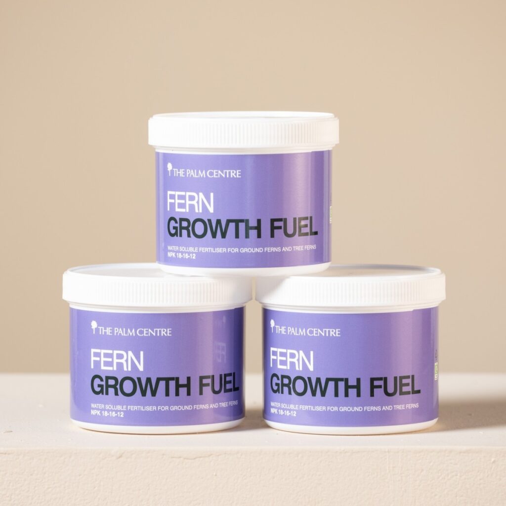 Fern Growth Fuel - Fern and tree ferns fertiliser | The Palm Centre