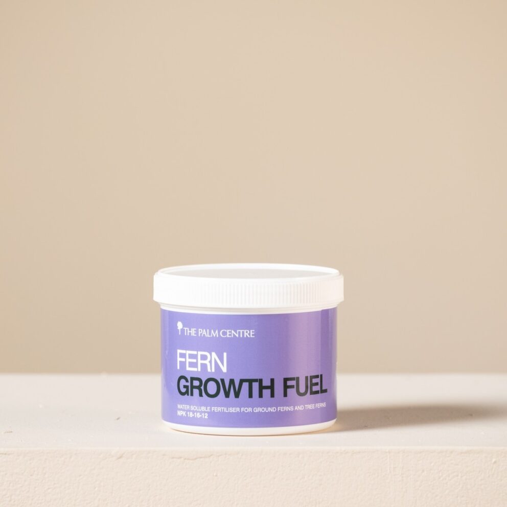 Fern Growth Fuel - Fern and tree ferns fertiliser | The Palm Centre
