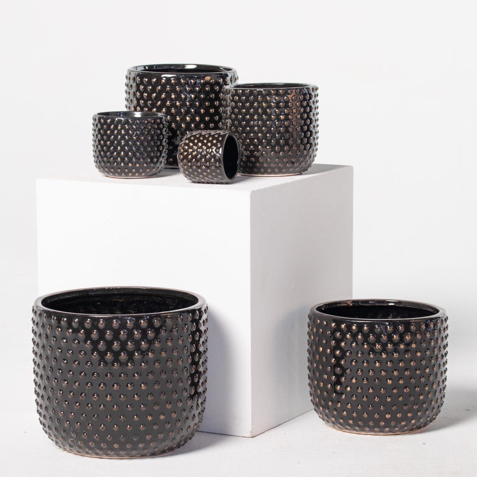 Indoor pots for sale | The Palm Centre