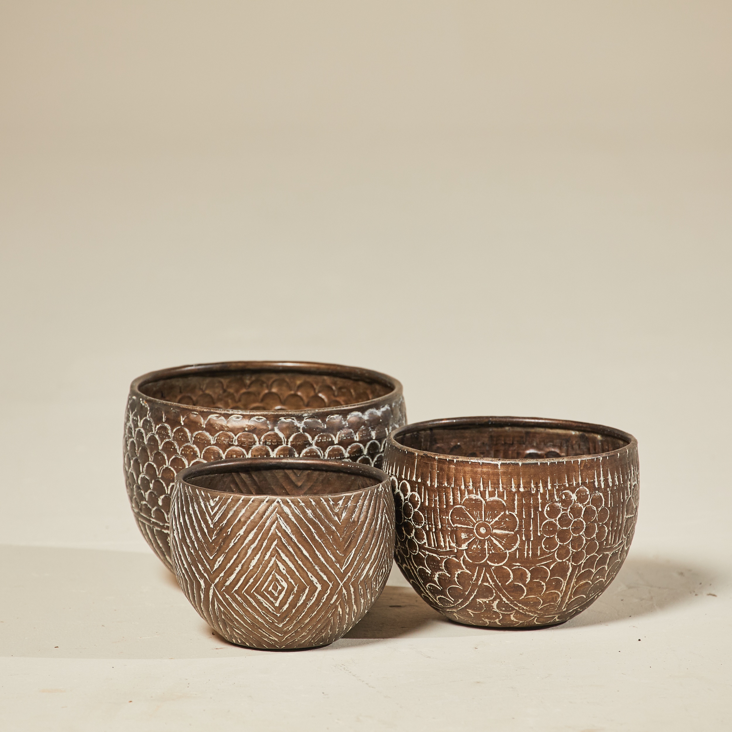 Indoor pot Senna - Mocha | The Palm Centre