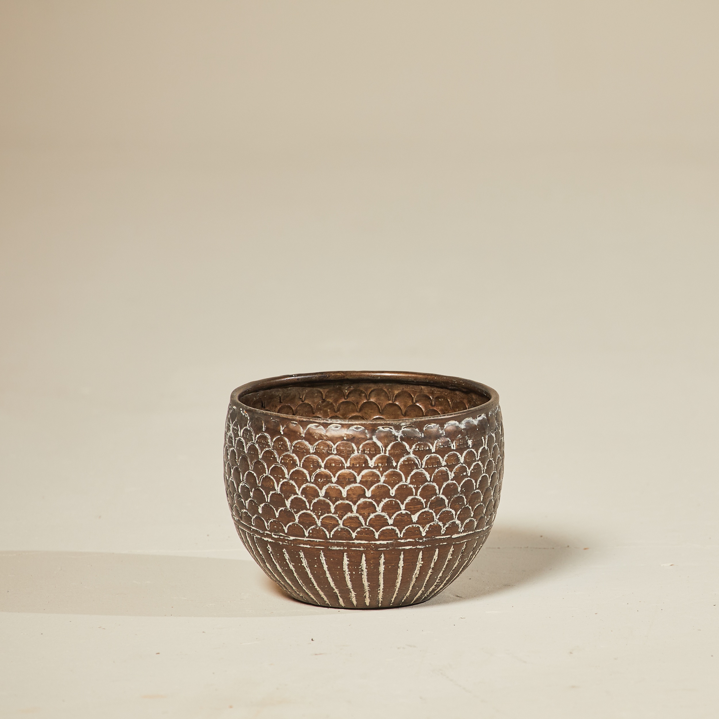 Indoor pot Senna - Mocha | The Palm Centre