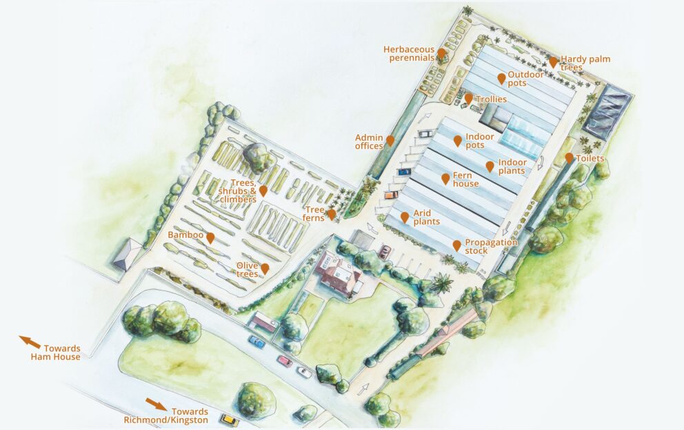 Visit us | The Palm Centre