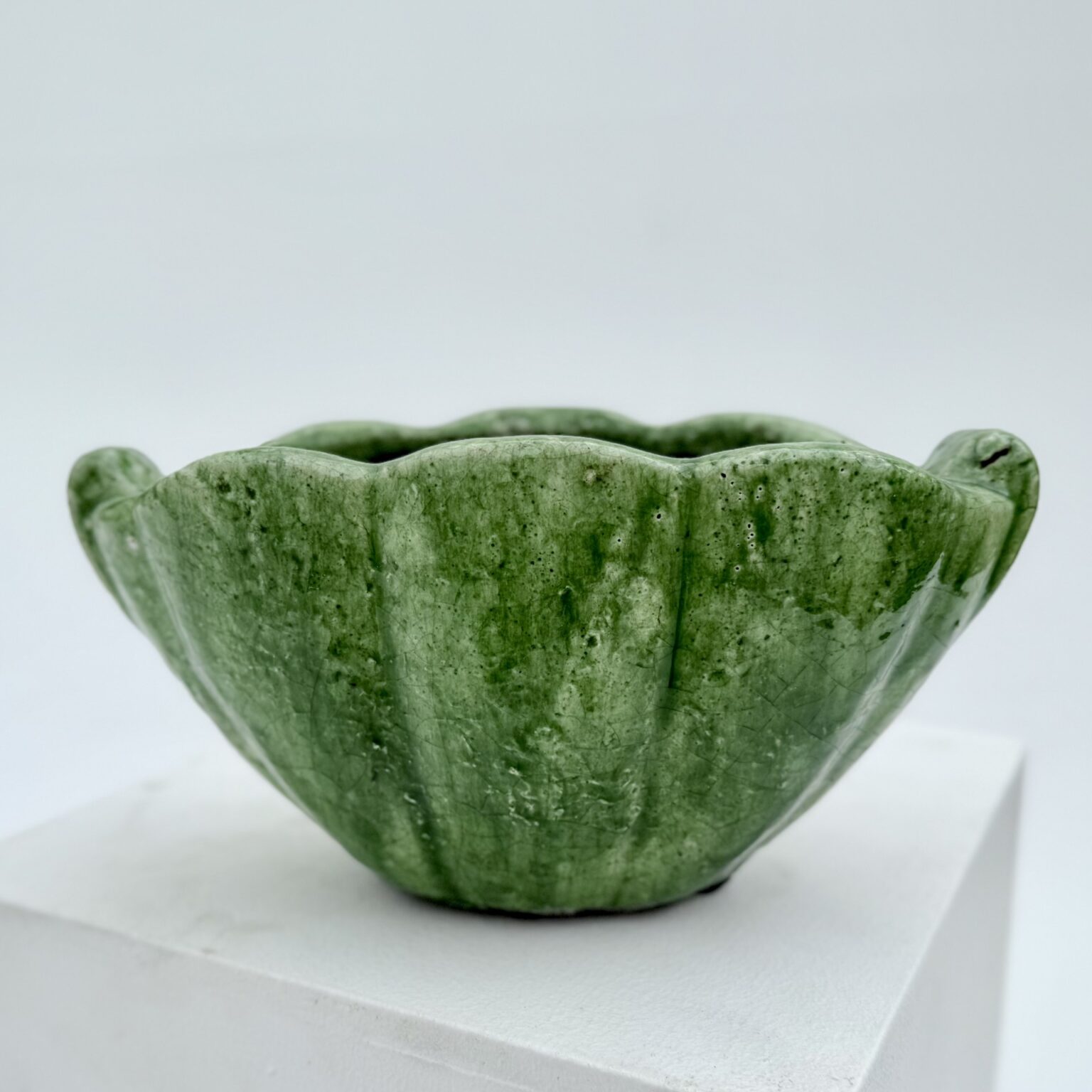 Indoor pot Shell - Verde | The Palm Centre